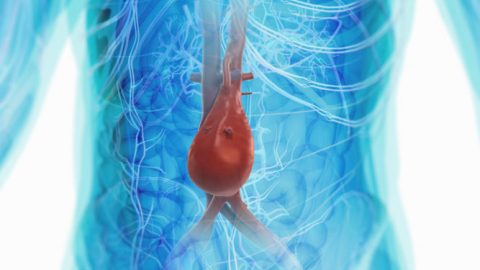 Ultraschall Halsschlagader - Praxis Dr med Georg Thielen und Kollegen